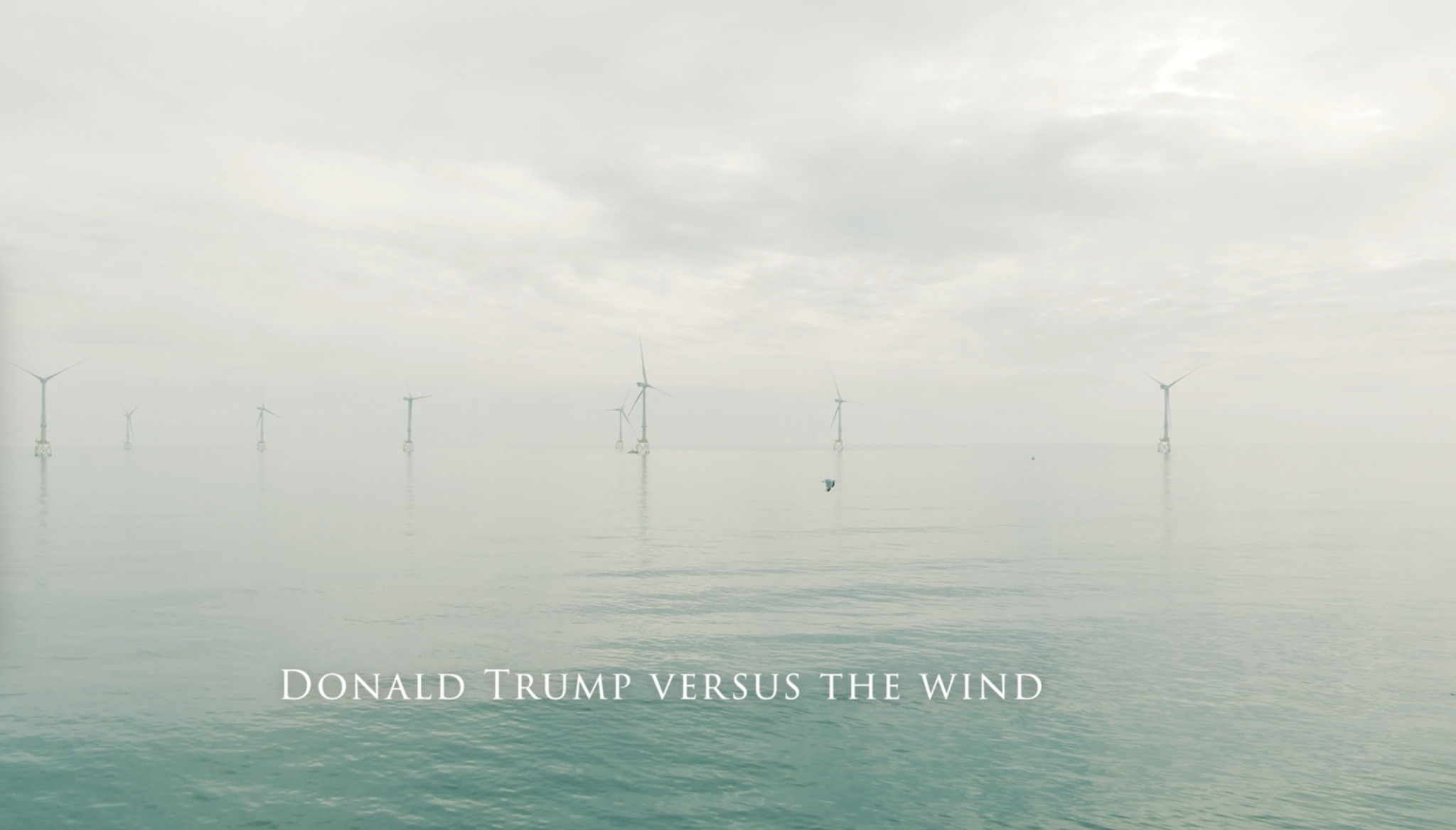 Donald Trump Versus The Wind – Penelope Cain